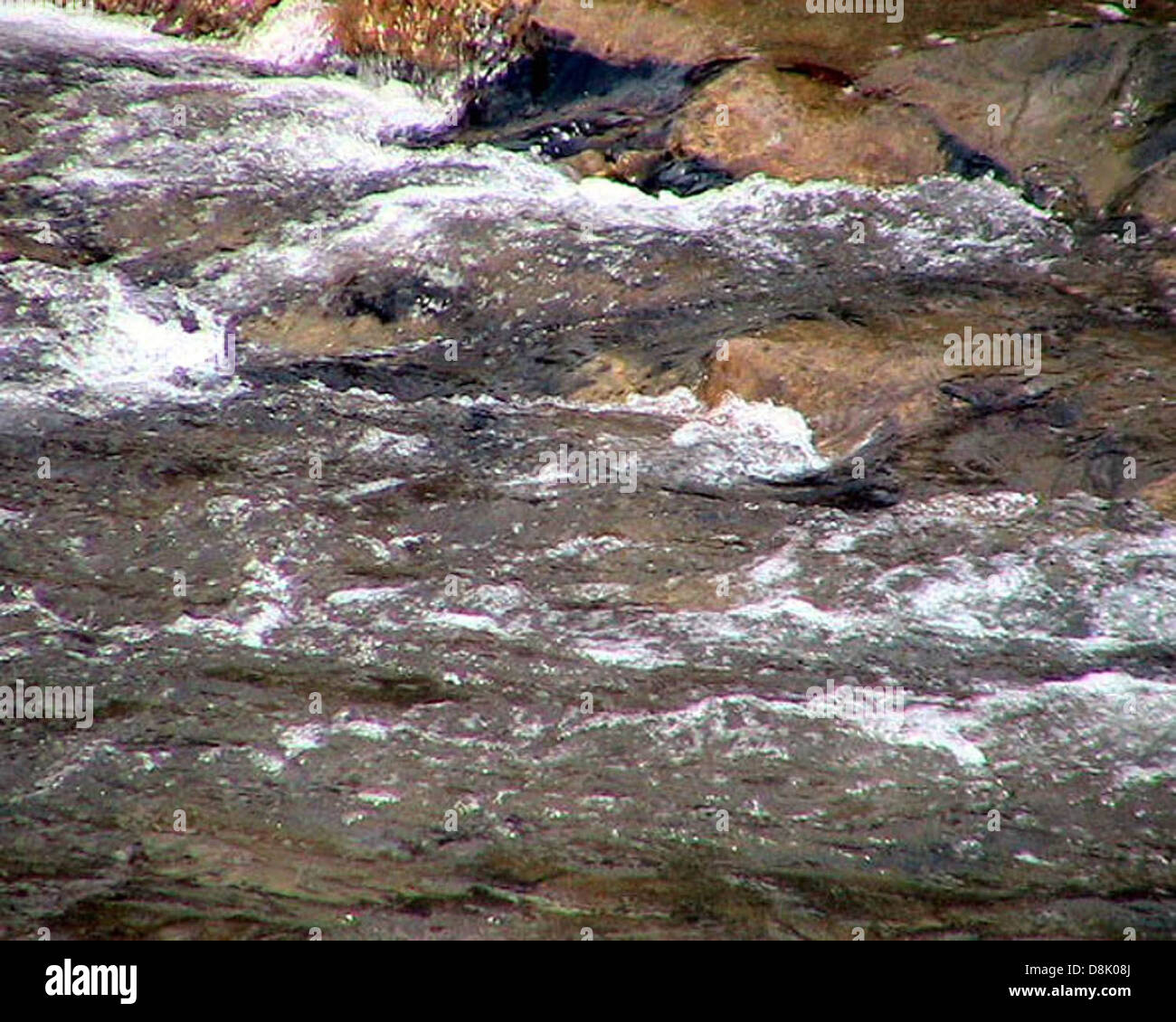 A fast-moving stream with clear water flowing rapidly over rocks. The ...