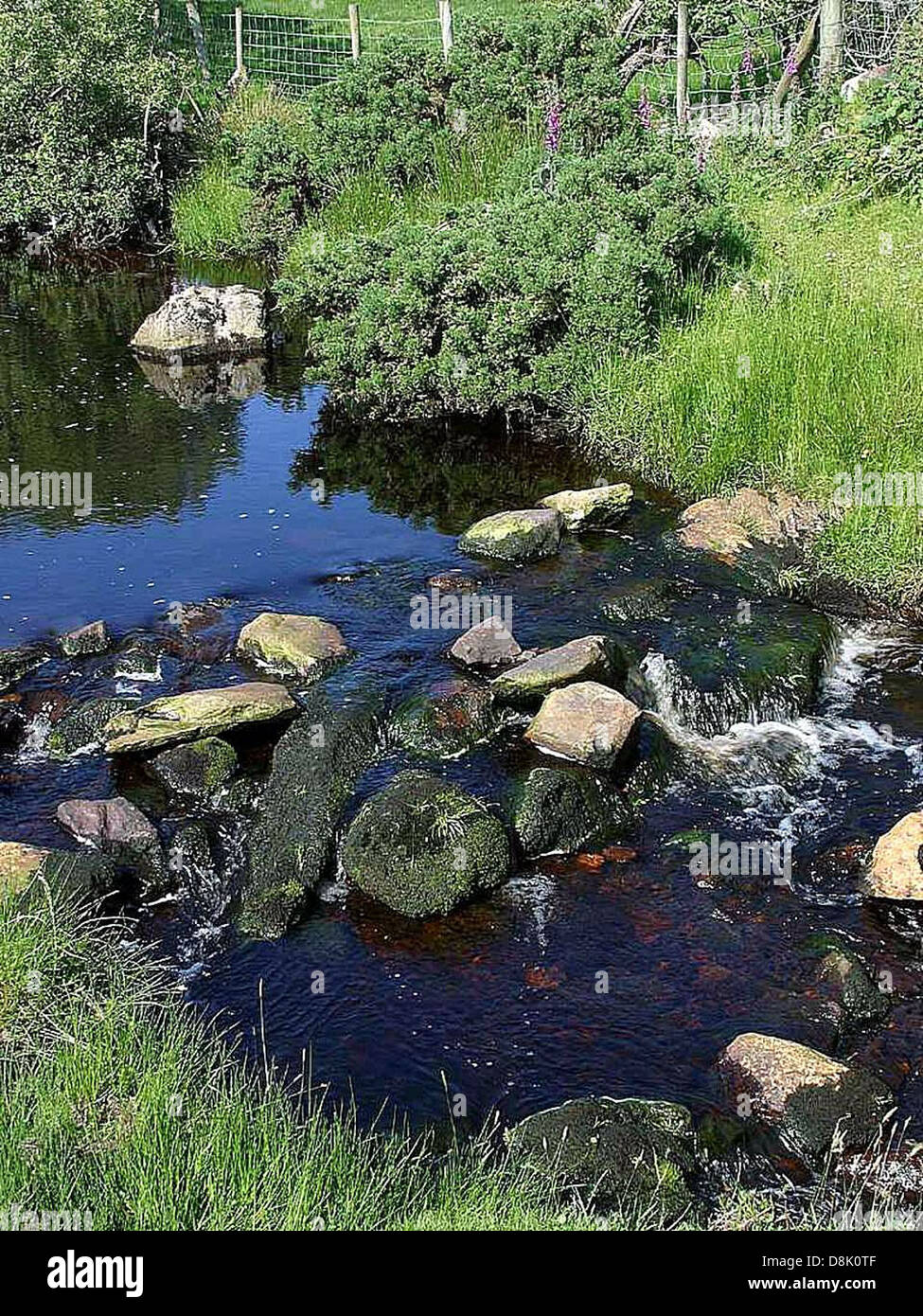 Red water in a stream Stock Photo - Alamy