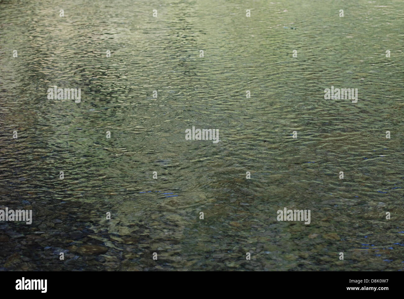 Reflections in stream Stock Photo - Alamy