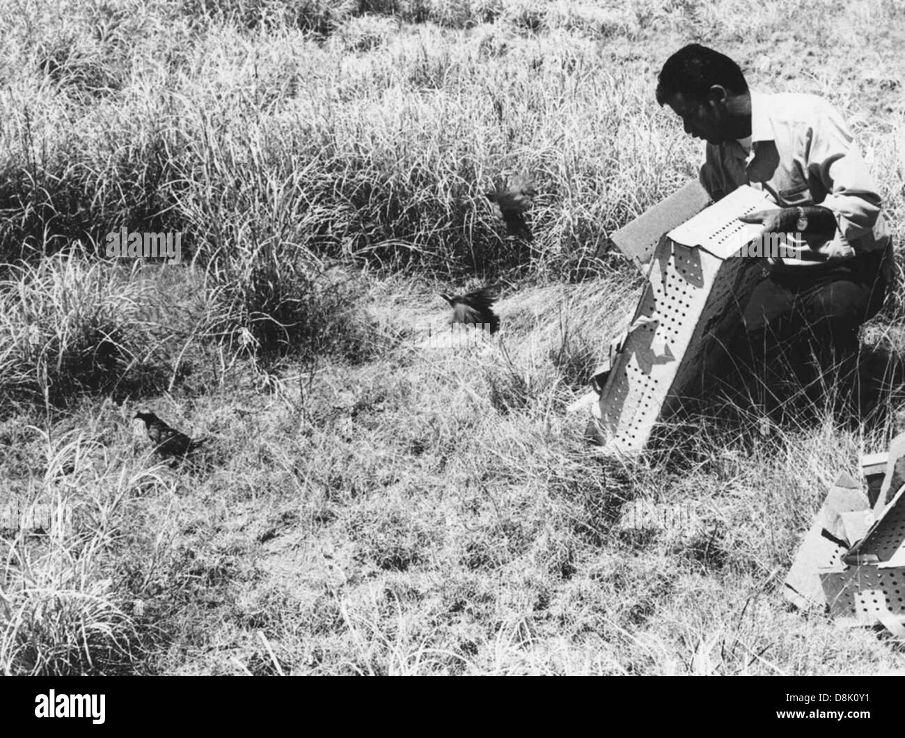 Masked protection Black and White Stock Photos & Images - Alamy