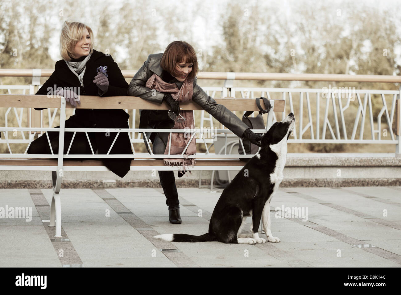 Two young women with a stray dog Stock Photo - Alamy