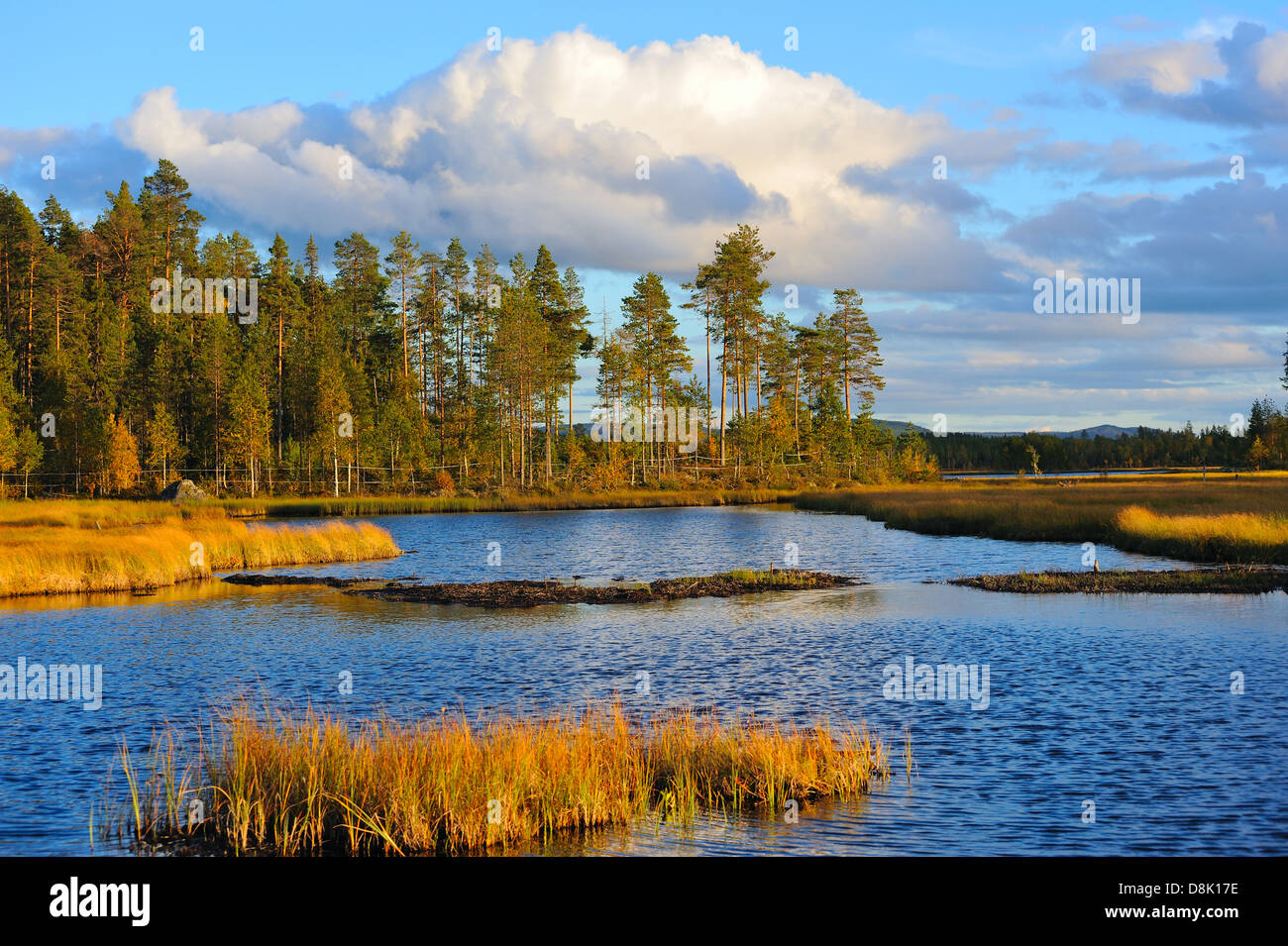 Neutral sweden hi-res stock photography and images - Alamy