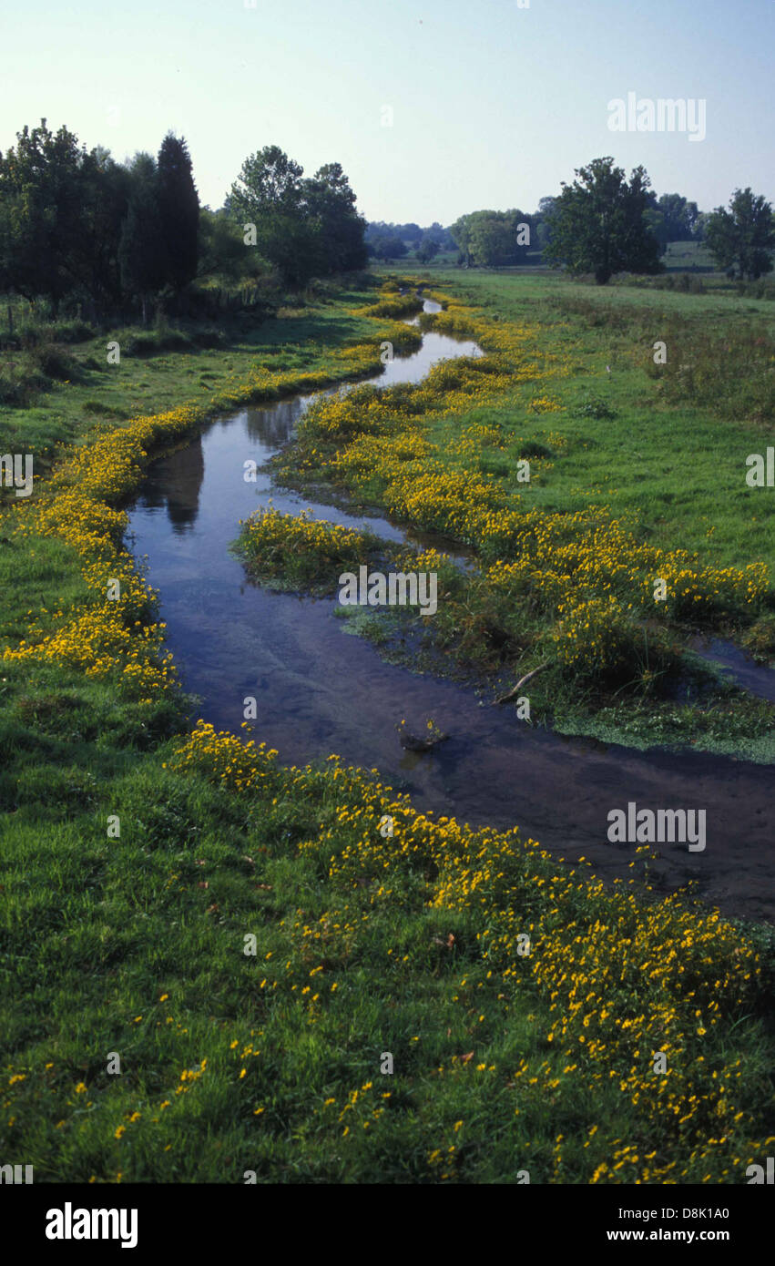 A rocky marsh run meanders through lush spring vegetation, creating a ...
