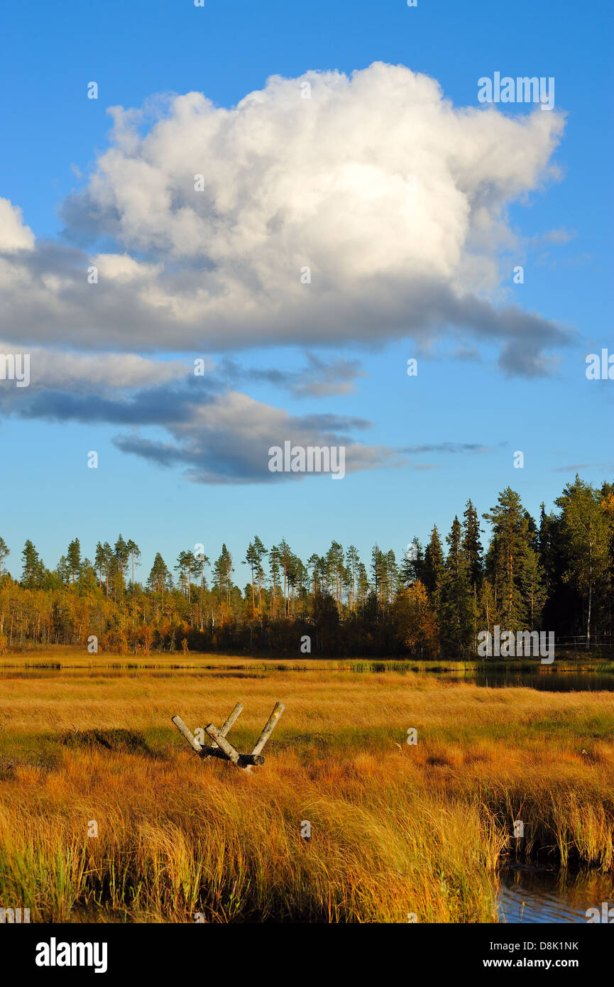 Holjes hi-res stock photography and images - Alamy