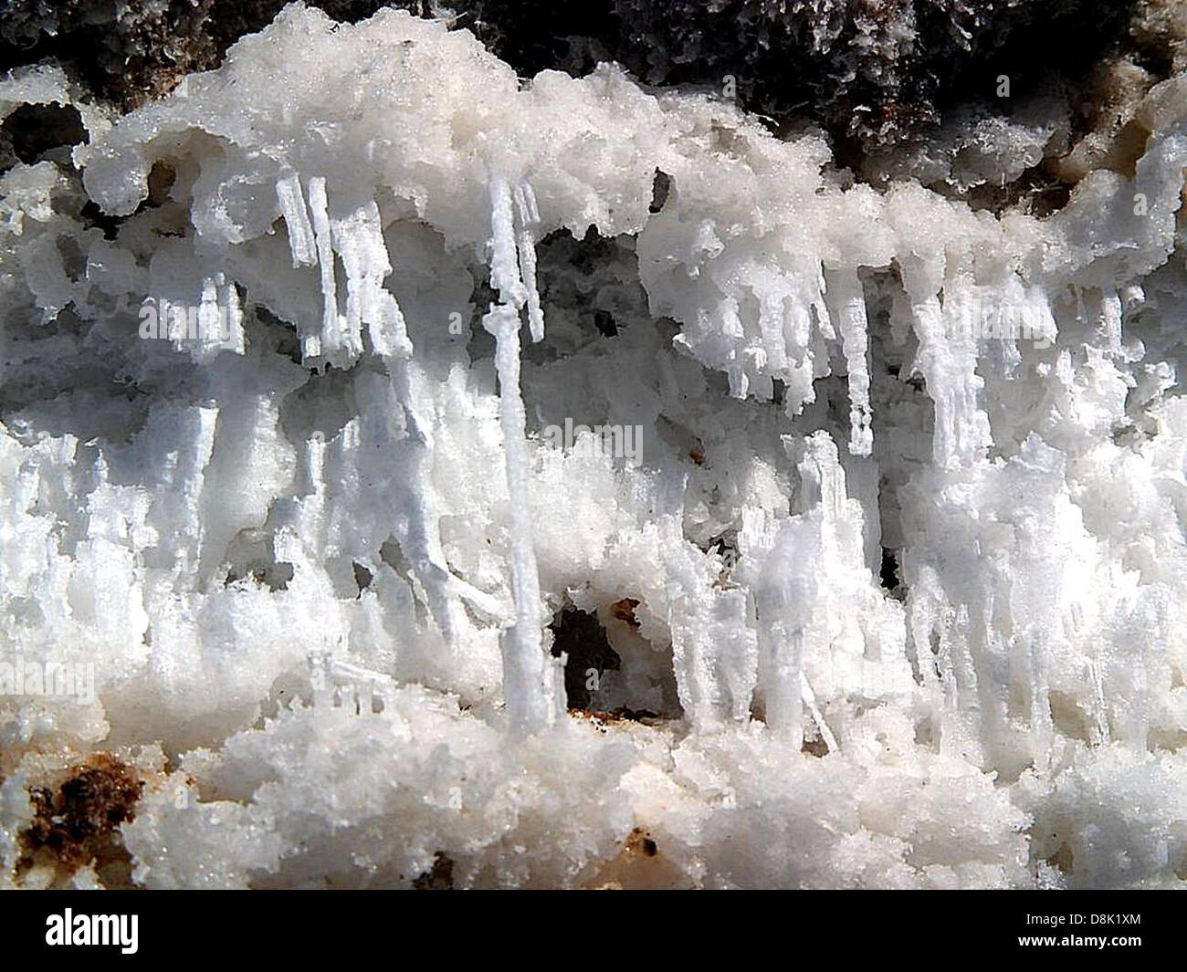 A close-up of salt crystals forming on a saltflat. The natural ...
