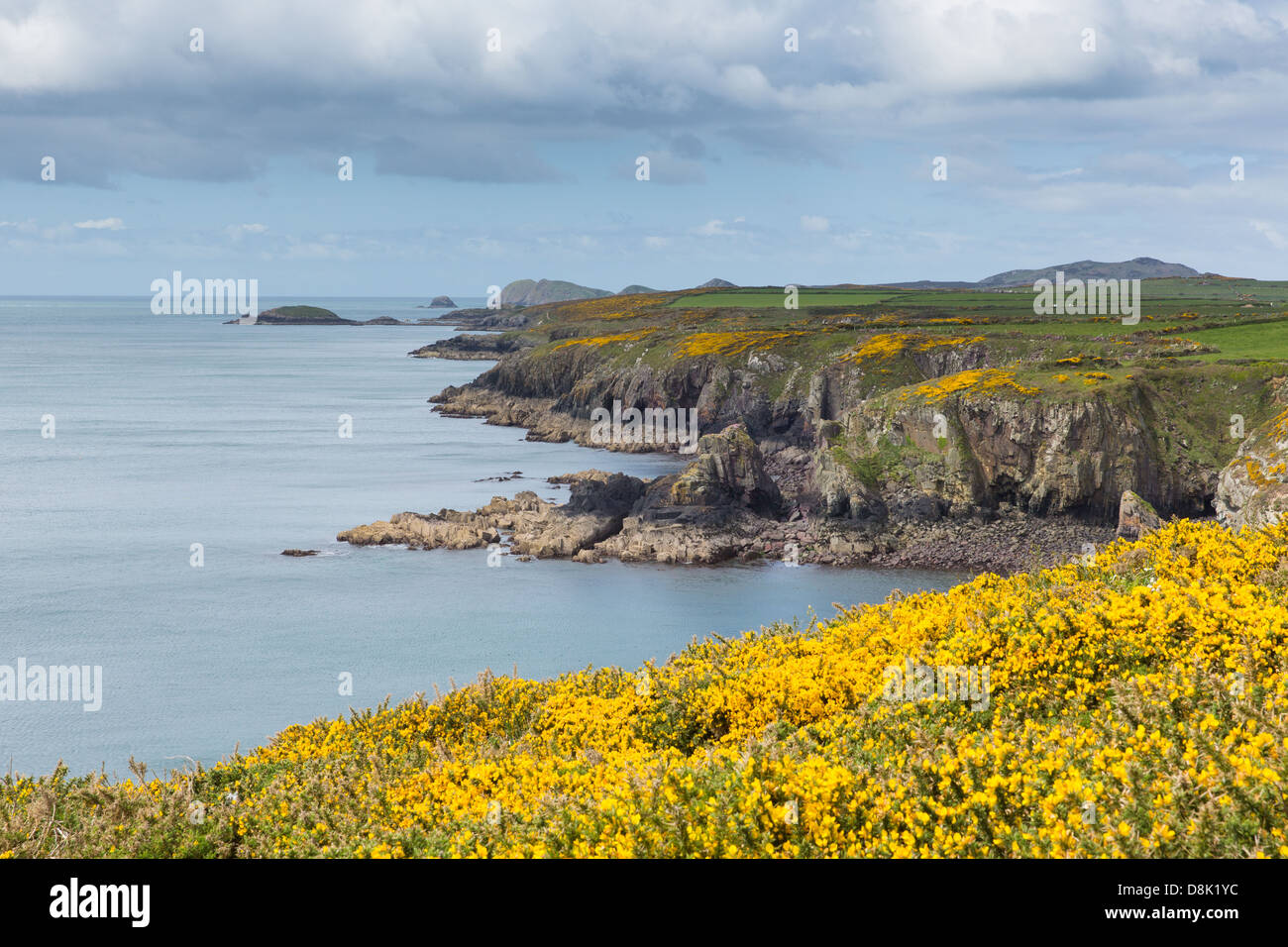 Wales coast Pembrokeshire from Caerfai Bay to St Nons towards Ramsey ...