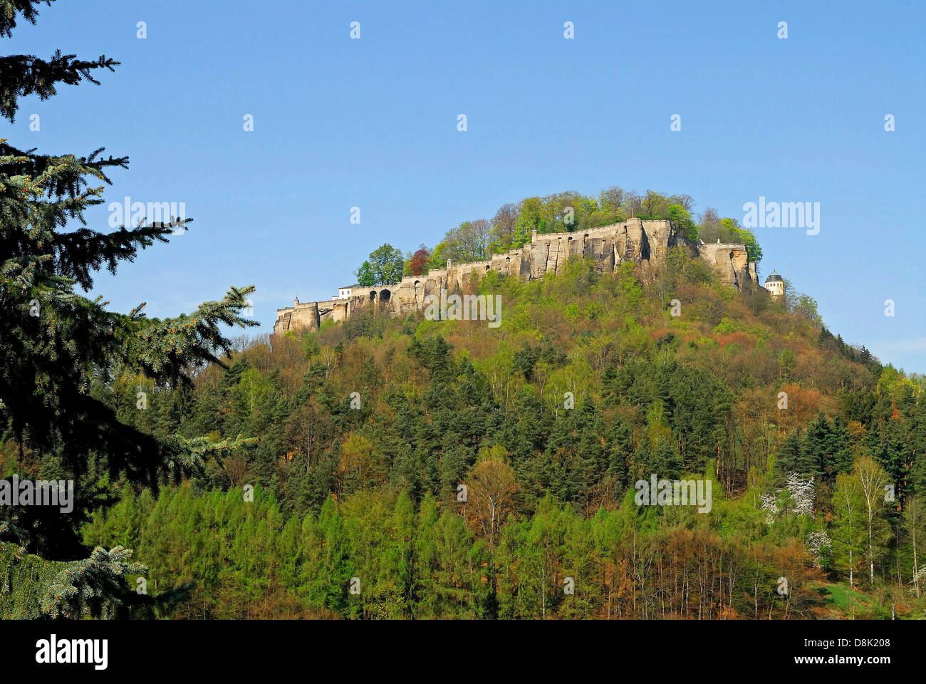 The fortress of konigstein hi-res stock photography and images - Alamy