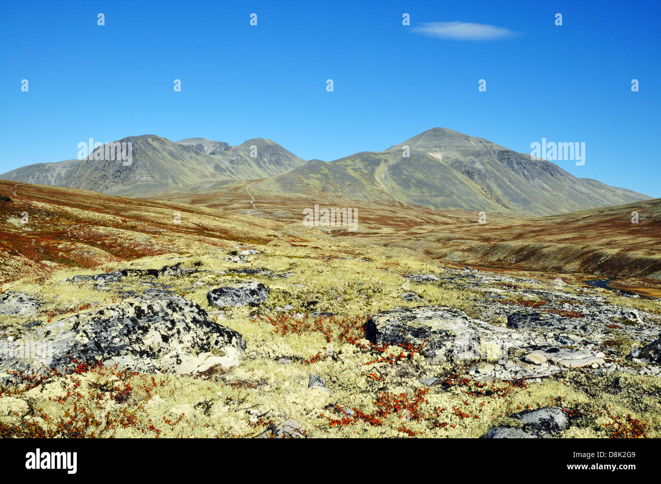 Rondane nationalpark hi-res stock photography and images - Alamy