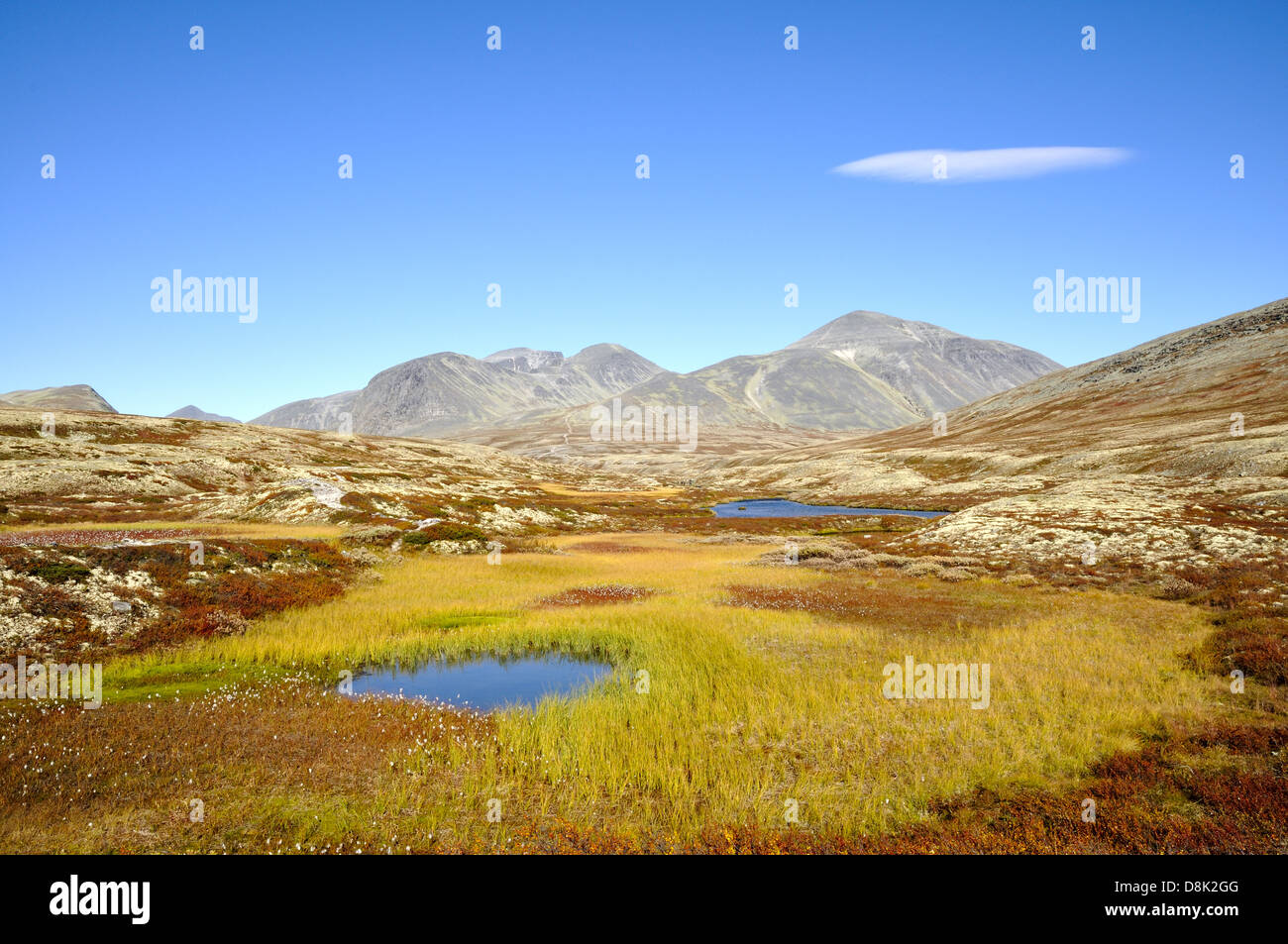 Rondane nationalpark hi-res stock photography and images - Alamy