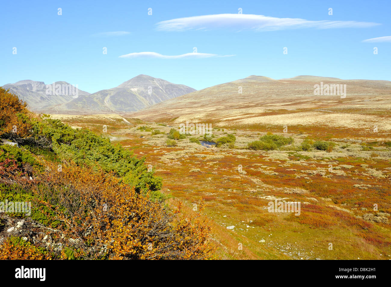 Rondane Nationalpark High Resolution Stock Photography and Images - Alamy