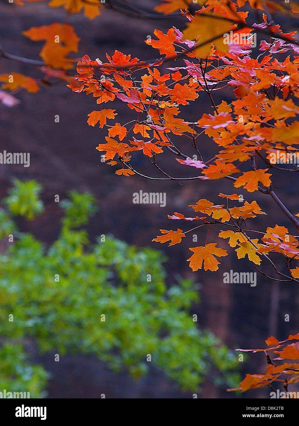 Weather capture hi-res stock photography and images - Alamy