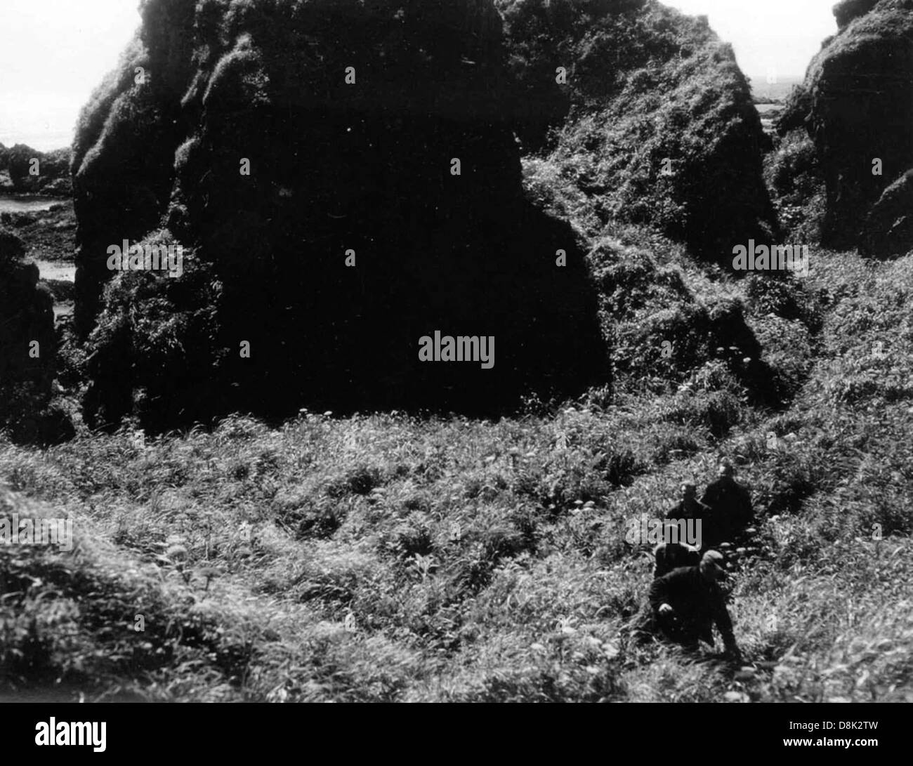 A group of servicemen trekking through dense brush on Attu Island, part ...