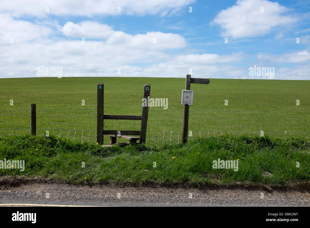 Field style hi-res stock photography and images - Alamy