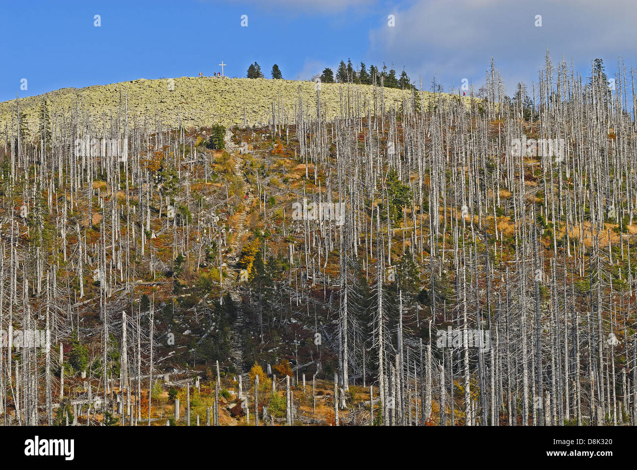 Lusen hi-res stock photography and images - Alamy