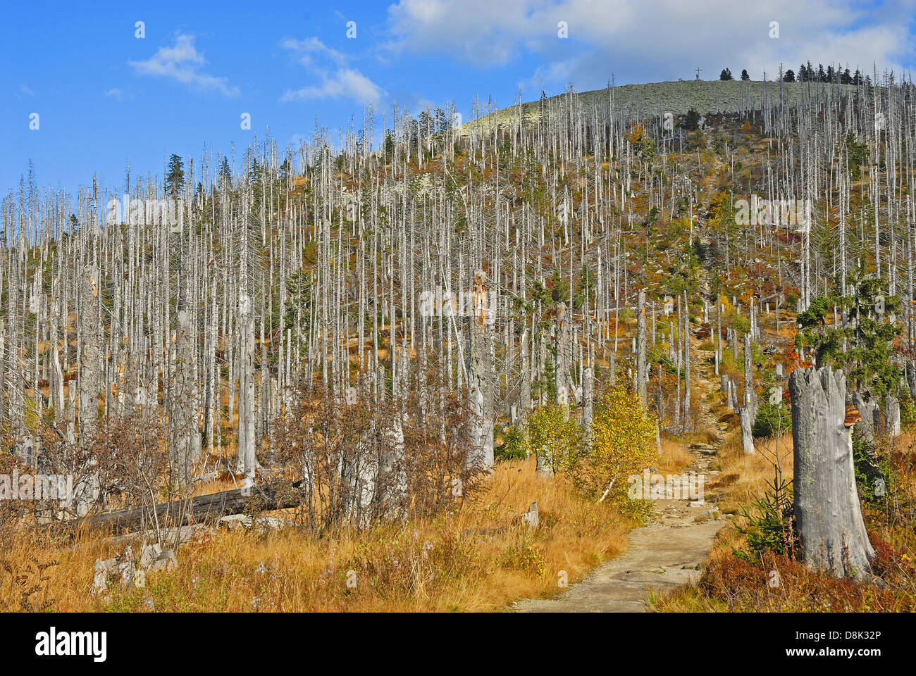 Lusen hi-res stock photography and images - Alamy