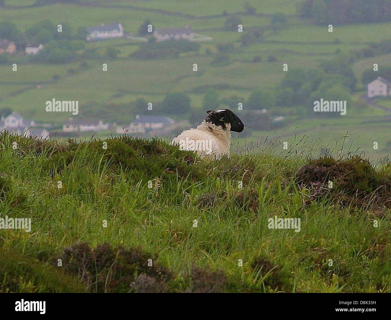 Image shows young rural hi-res stock photography and images - Alamy