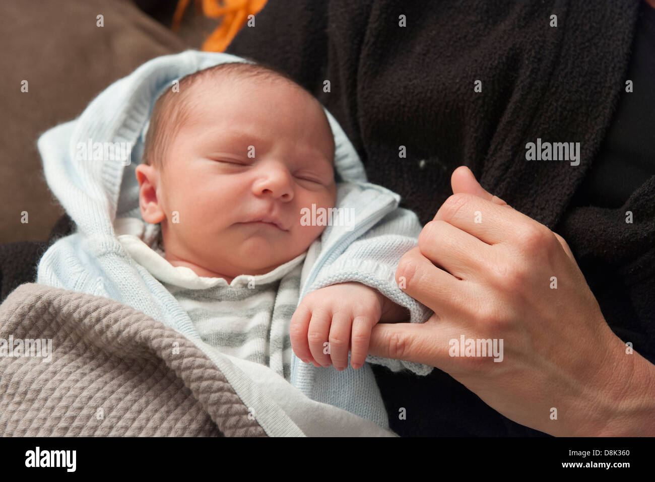 Baby holding adult's finger Stock Photo - Alamy