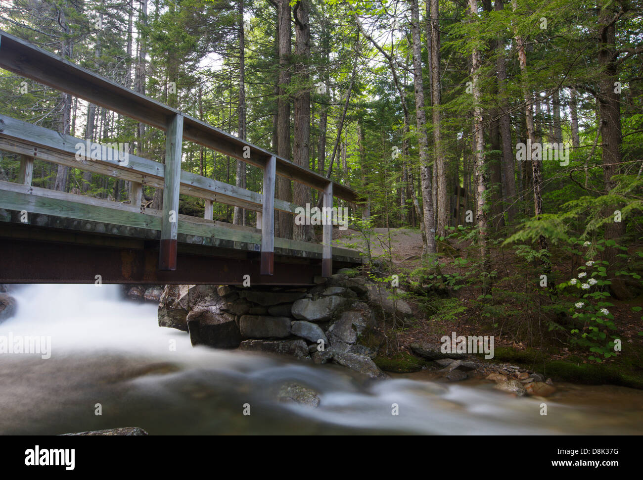 Franconia Notch State Park - The Pemigewasset River just above "The ...