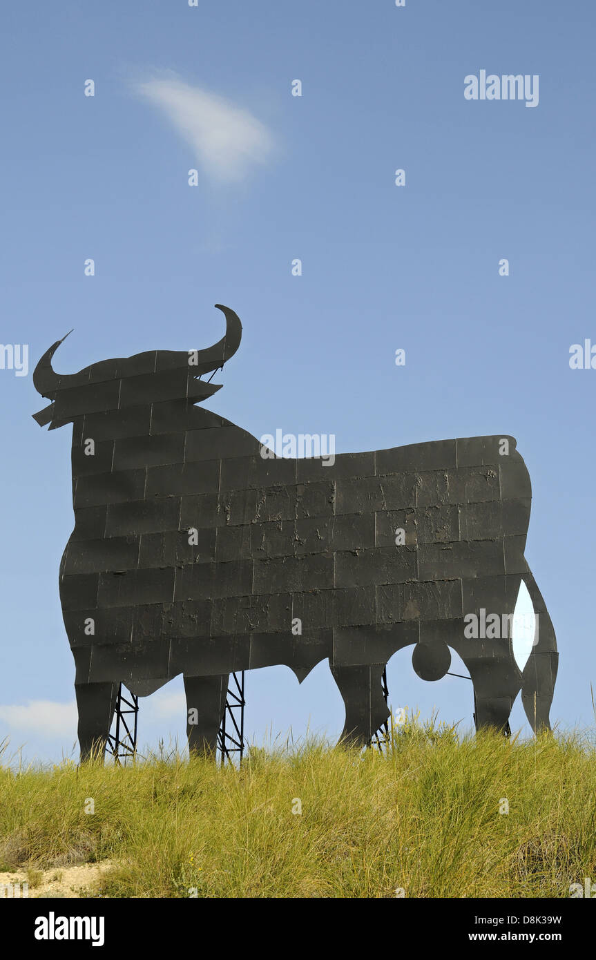 Osborne bull hi-res stock photography and images - Alamy