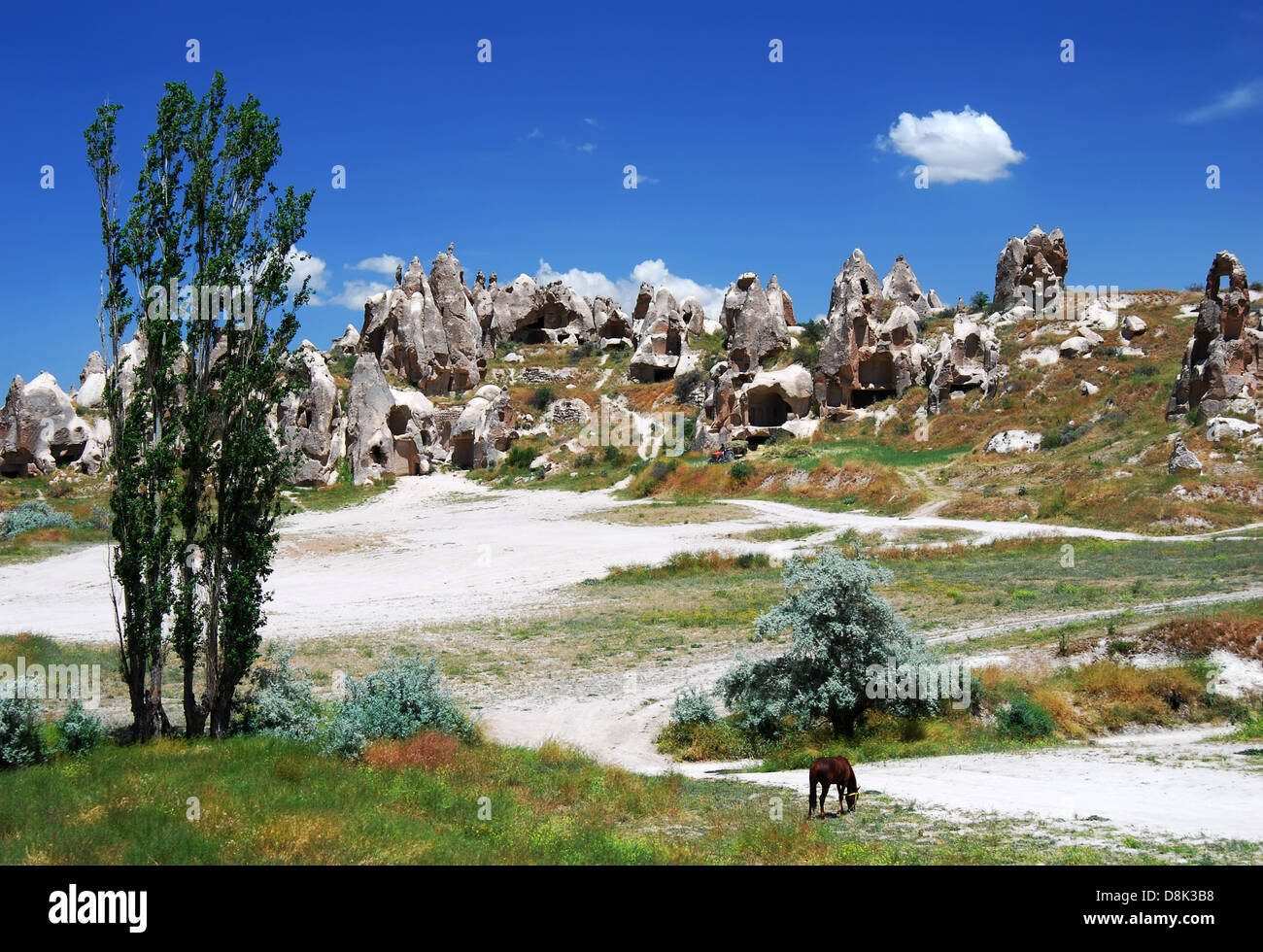 Cappadocia landscape with vulcanic rocks and houses carved in this rock ...
