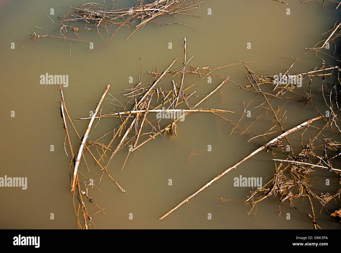 -Canes and Water- Spain Stock Photo - Alamy