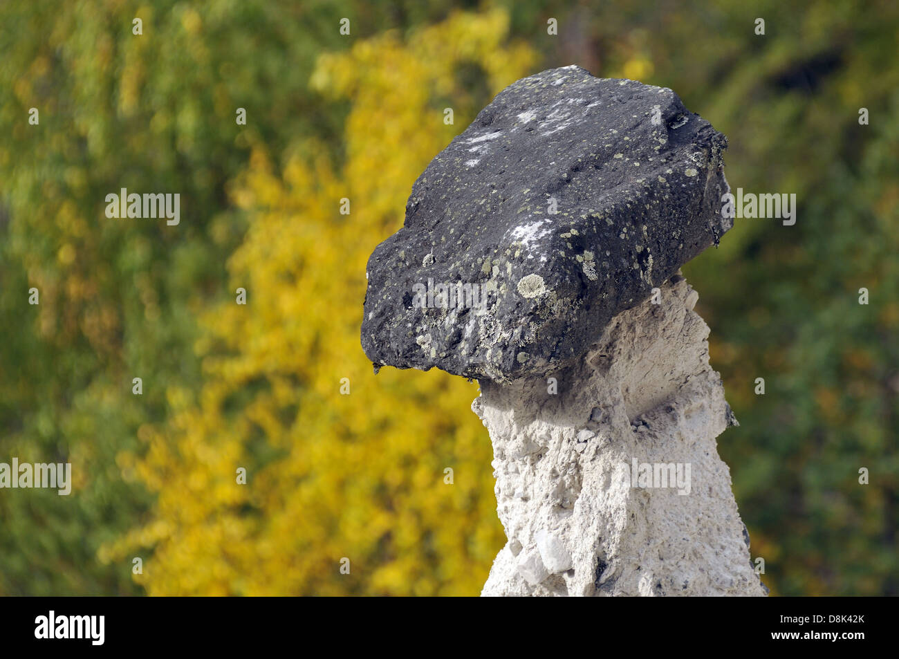 White priest hi-res stock photography and images - Alamy