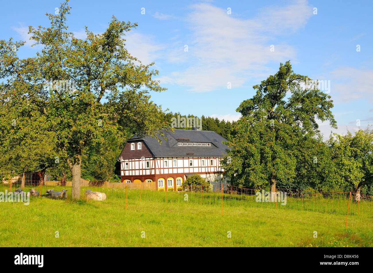 Lusatia summer hi-res stock photography and images - Alamy
