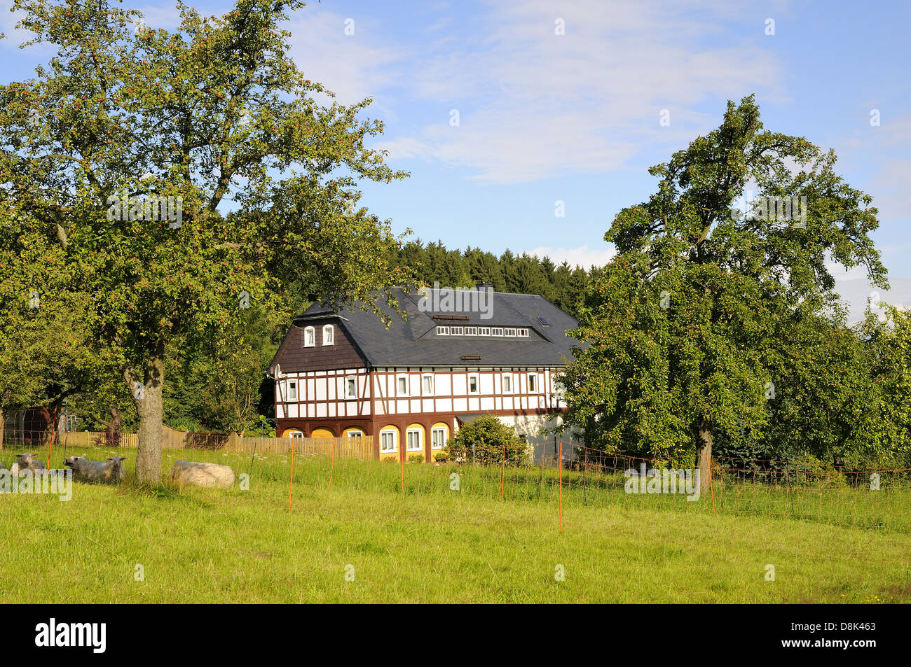 Upper lusatia slope hi-res stock photography and images - Alamy
