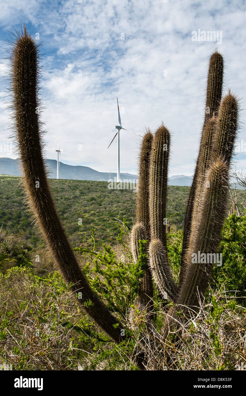 Wind turbines at Monte Redondo Wind Farm. Coquimbo Region, Chile Stock ...
