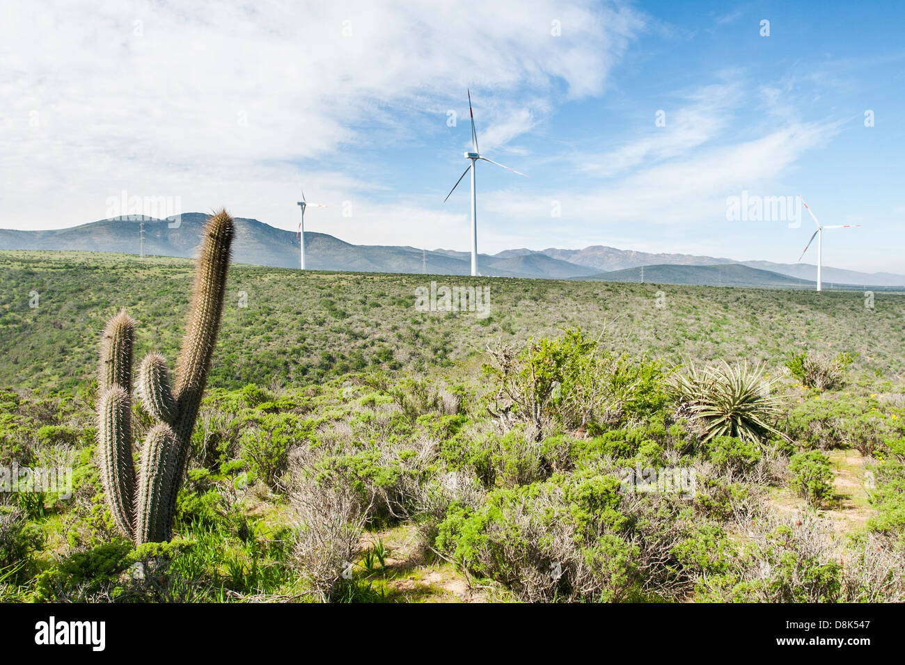 Wind turbines at Monte Redondo Wind Farm. Coquimbo Region, Chile Stock ...