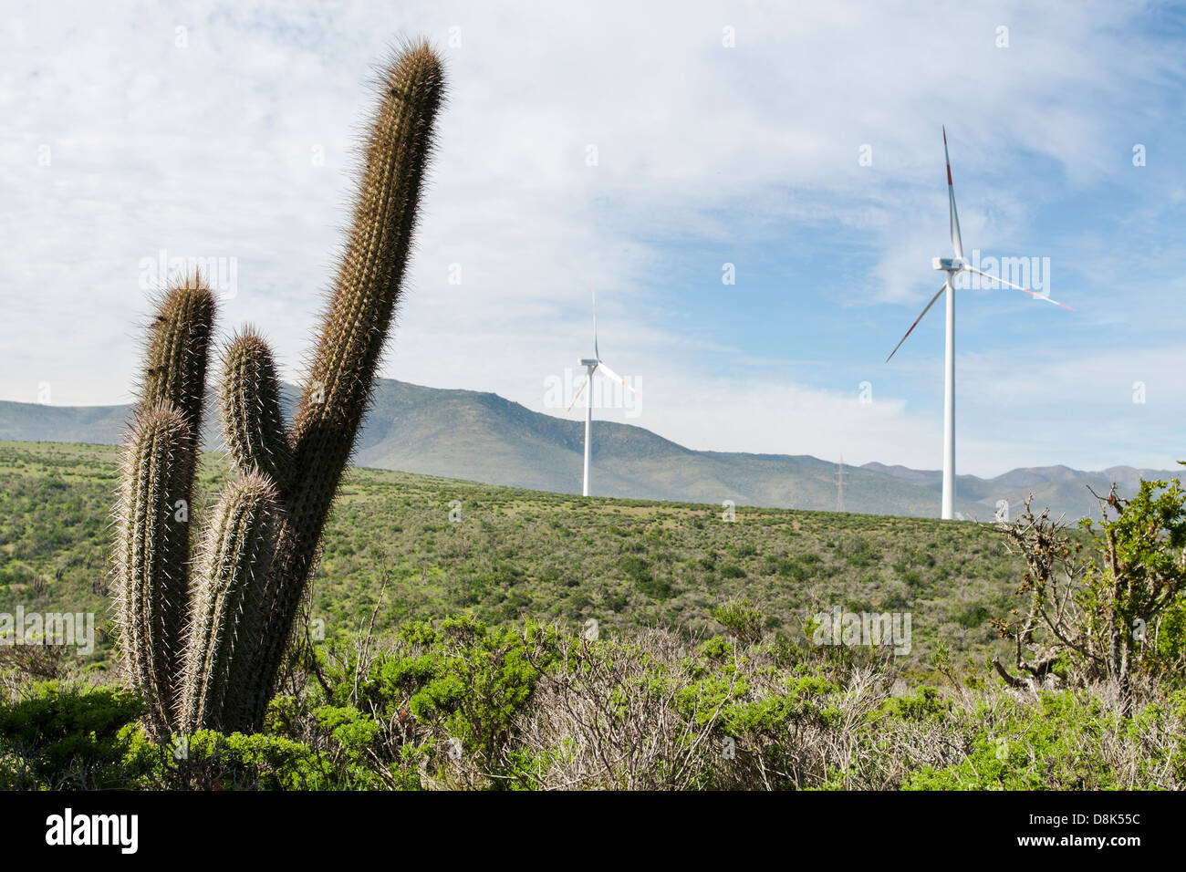 Wind turbines at Monte Redondo Wind Farm. Coquimbo Region, Chile Stock ...