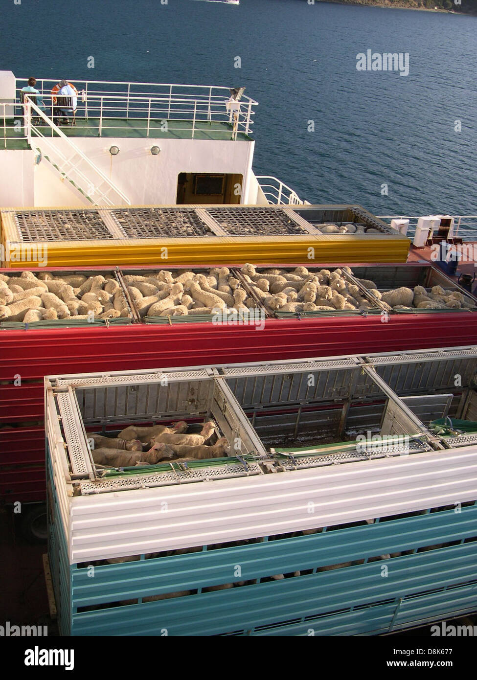 Sheep trucks on ferry Stock Photo - Alamy