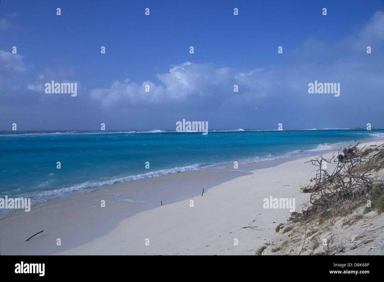 The shoreline of Midway Beach, featuring sandy shores and gentle waves ...