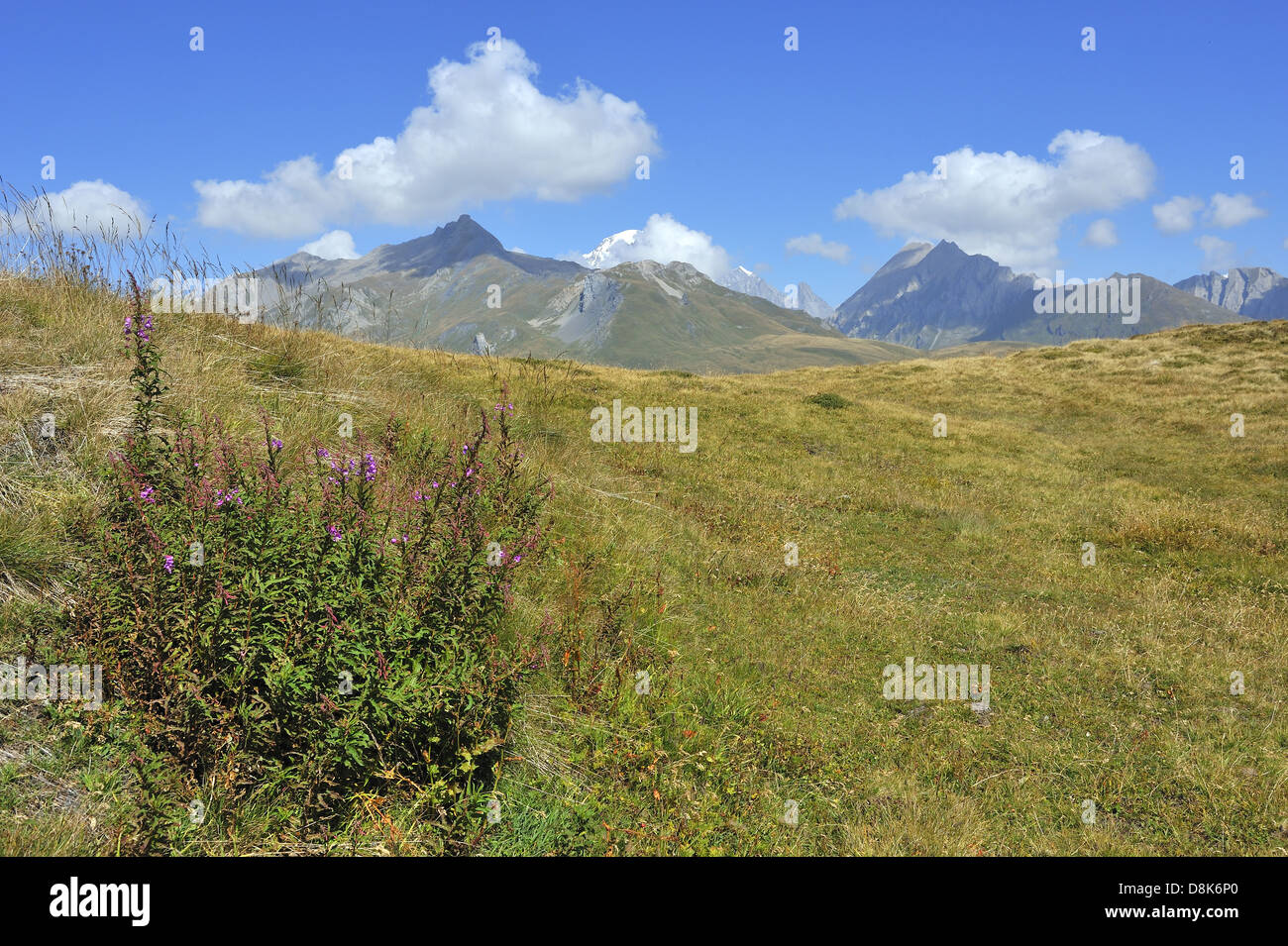 Great St Bernard Pass Stock Photo - Alamy