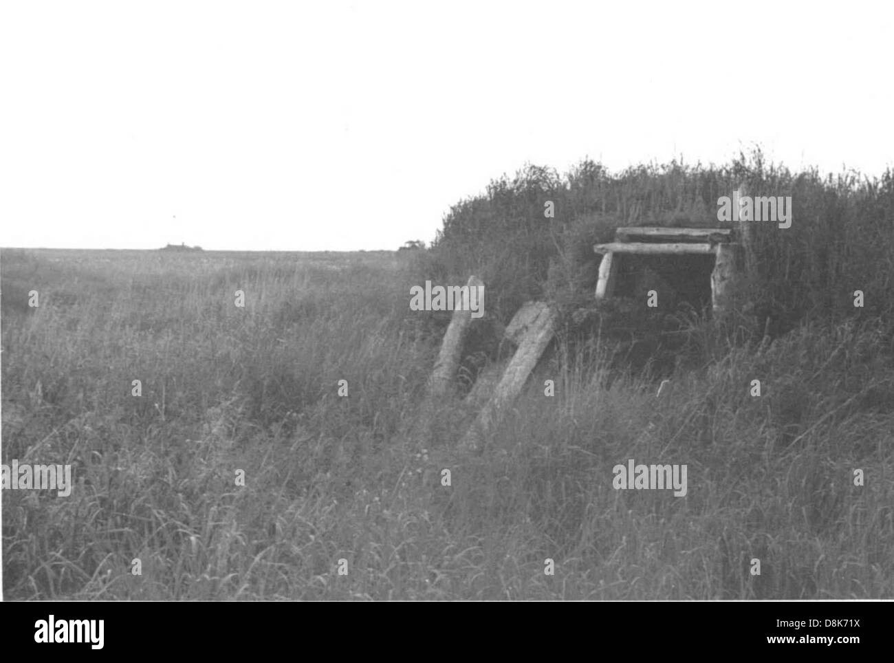 The image showcases the remains of a sod house on the tundra, a ...