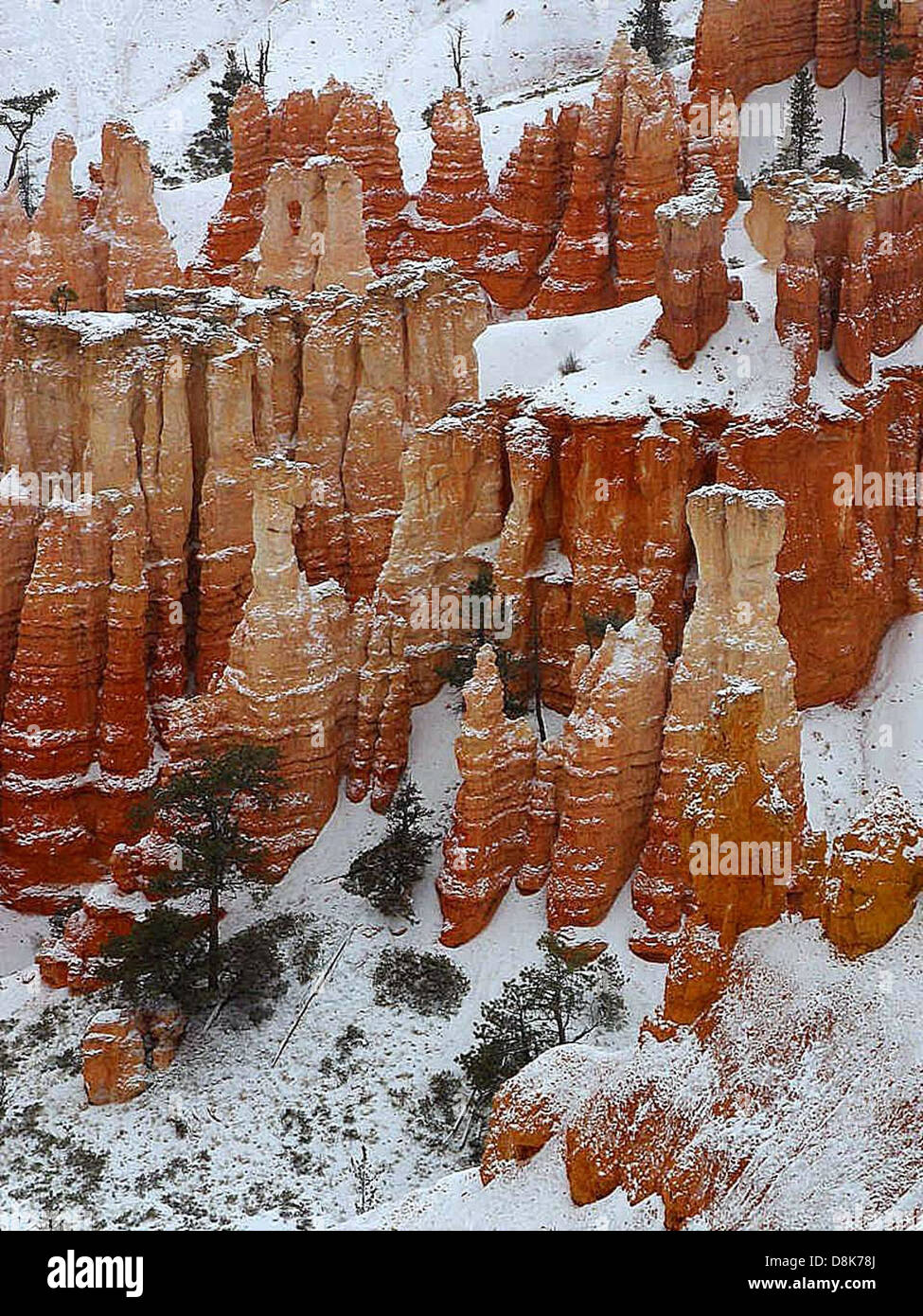 A tall spire rock formation in Bryce Canyon, Utah, known for its ...