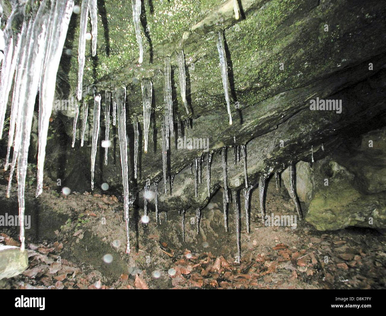 A detailed image of stalactites hanging from the ceiling of a cave. The ...