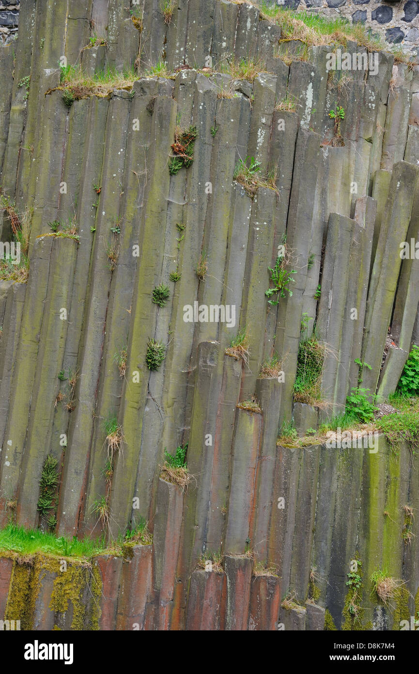 Basalt reef hi-res stock photography and images - Alamy