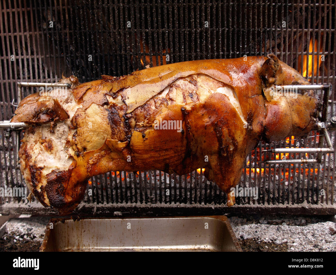 a pig being roasted Stock Photo - Alamy