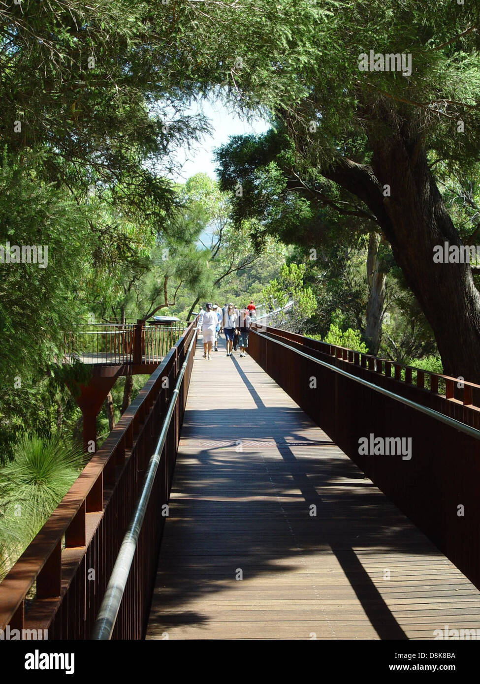 This image shows a suspended walkway, often used in forest or nature ...