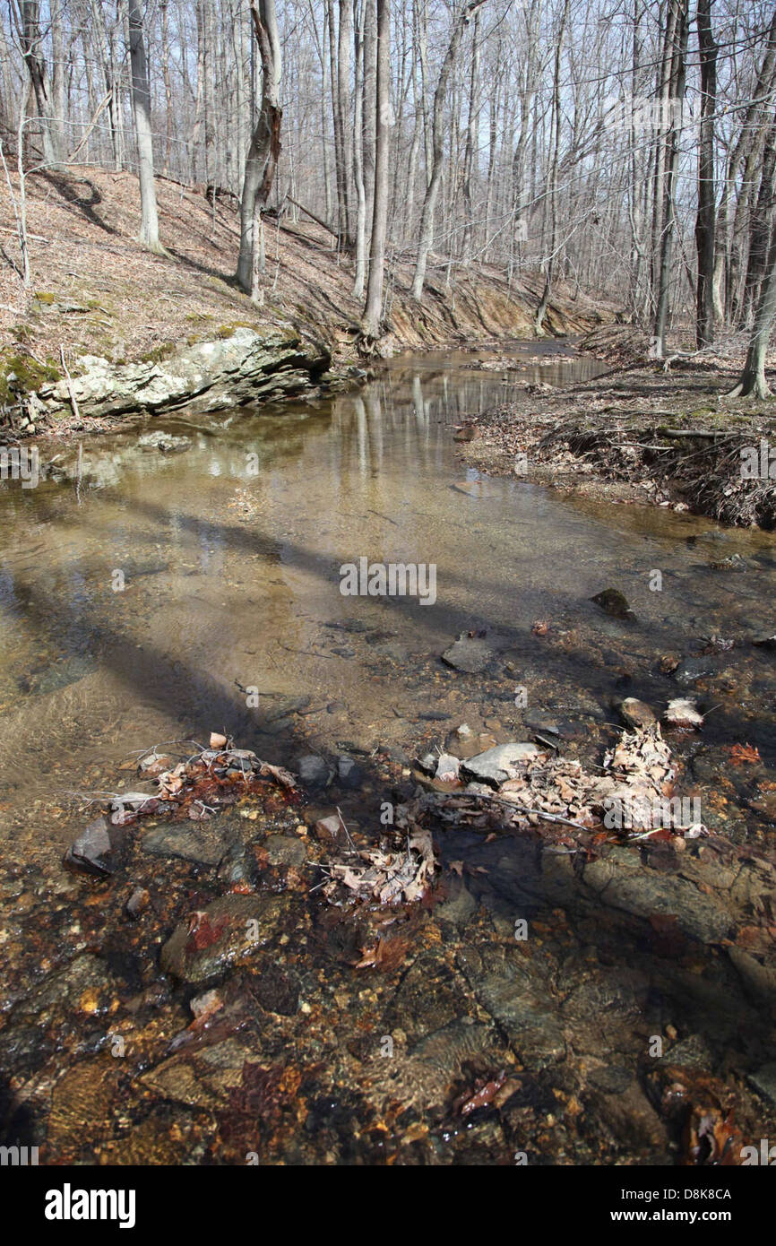 A view of Sweet Run at the Blue Ridge Center for Environmental ...