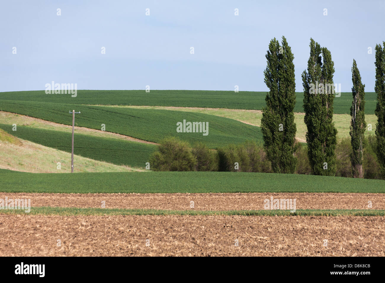 Farm Land, green wheat fields Stock Photo - Alamy