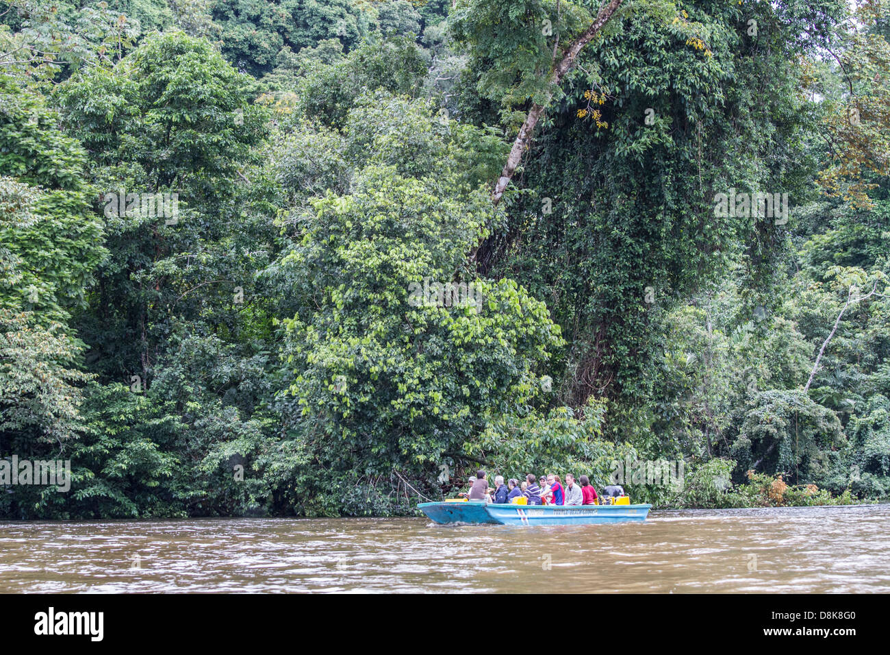 By Lancha and Boat along the Tortuguero Canal, Tortuguero National Park ...