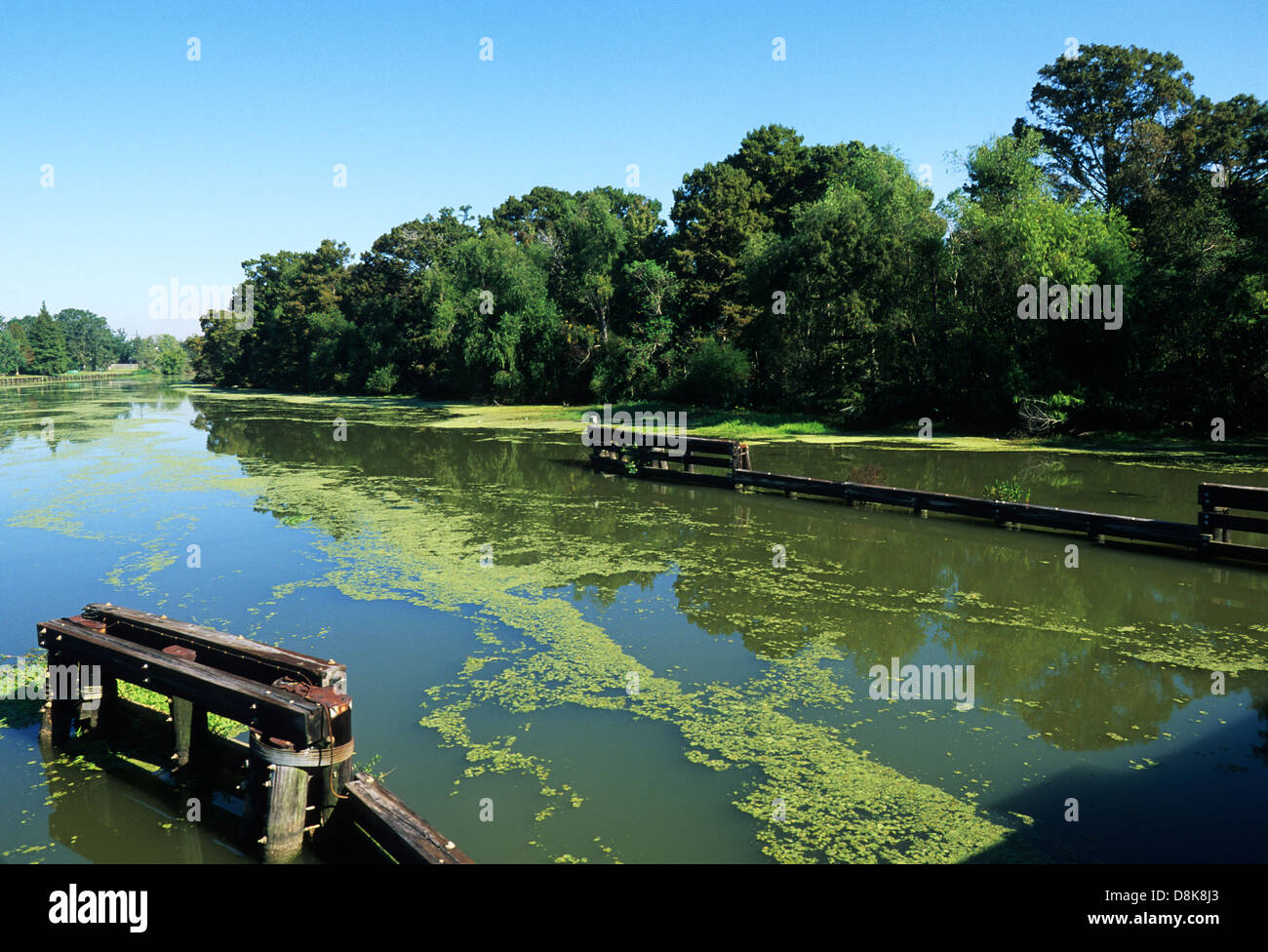 Bayou teche hi-res stock photography and images - Alamy