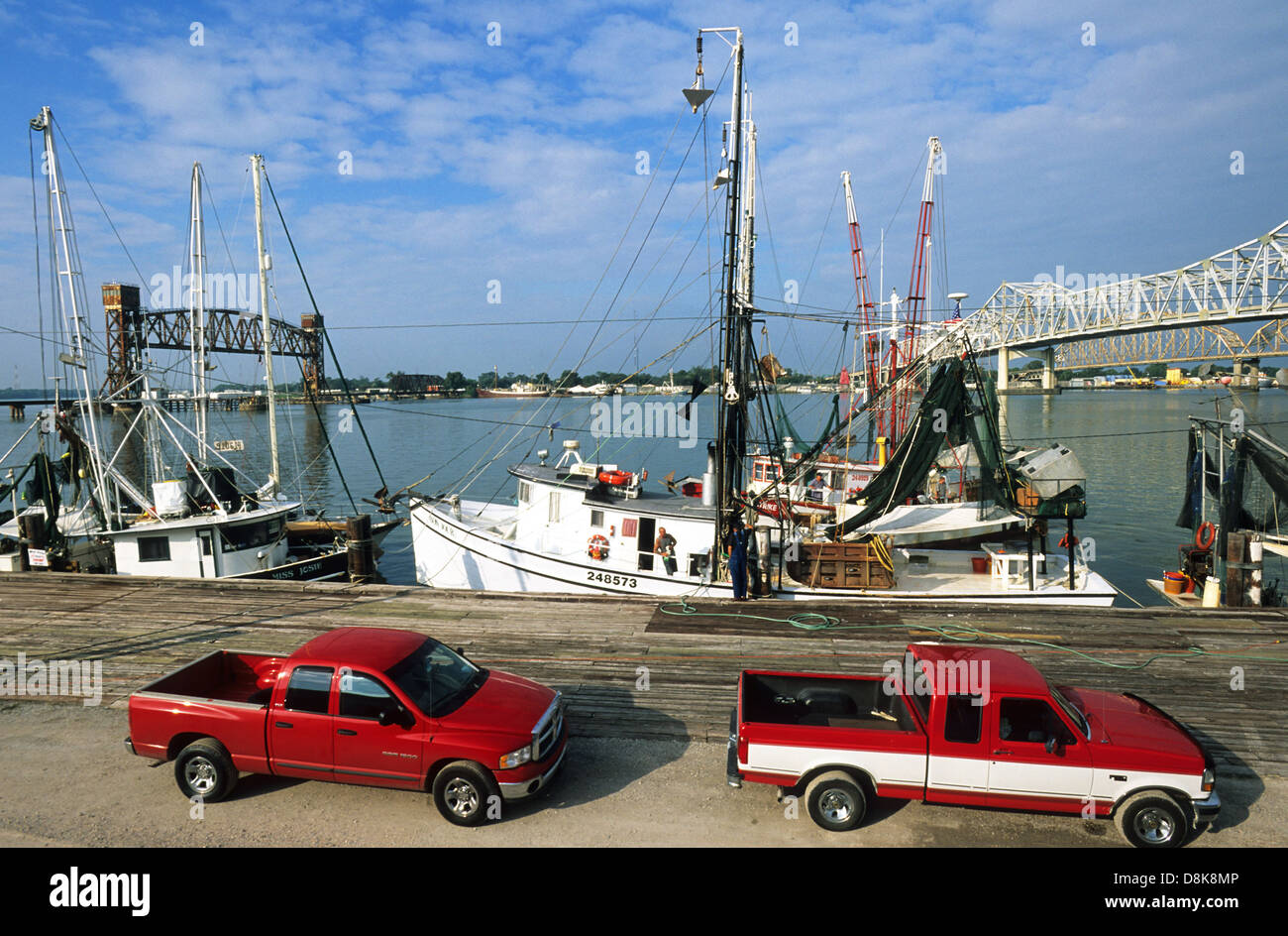 Elk283-4448 Louisiana, Cajun Country, Mississippi River, Morgan City ...
