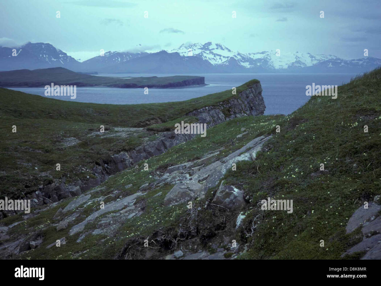 Terrace island wide bay Stock Photo - Alamy