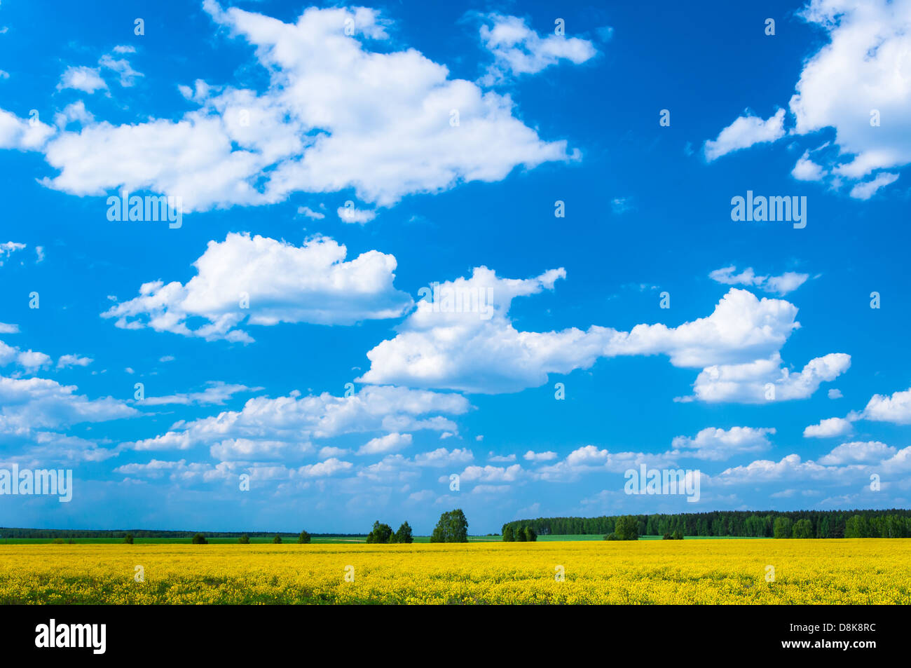 Sky id hi-res stock photography and images - Alamy