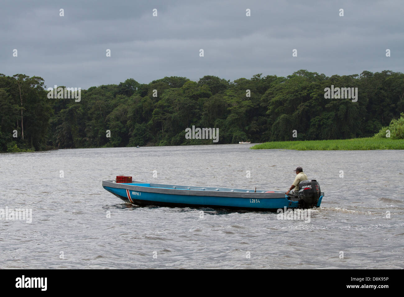 By Lancha and Boat along the Tortuguero Canal, Tortuguero National Park ...