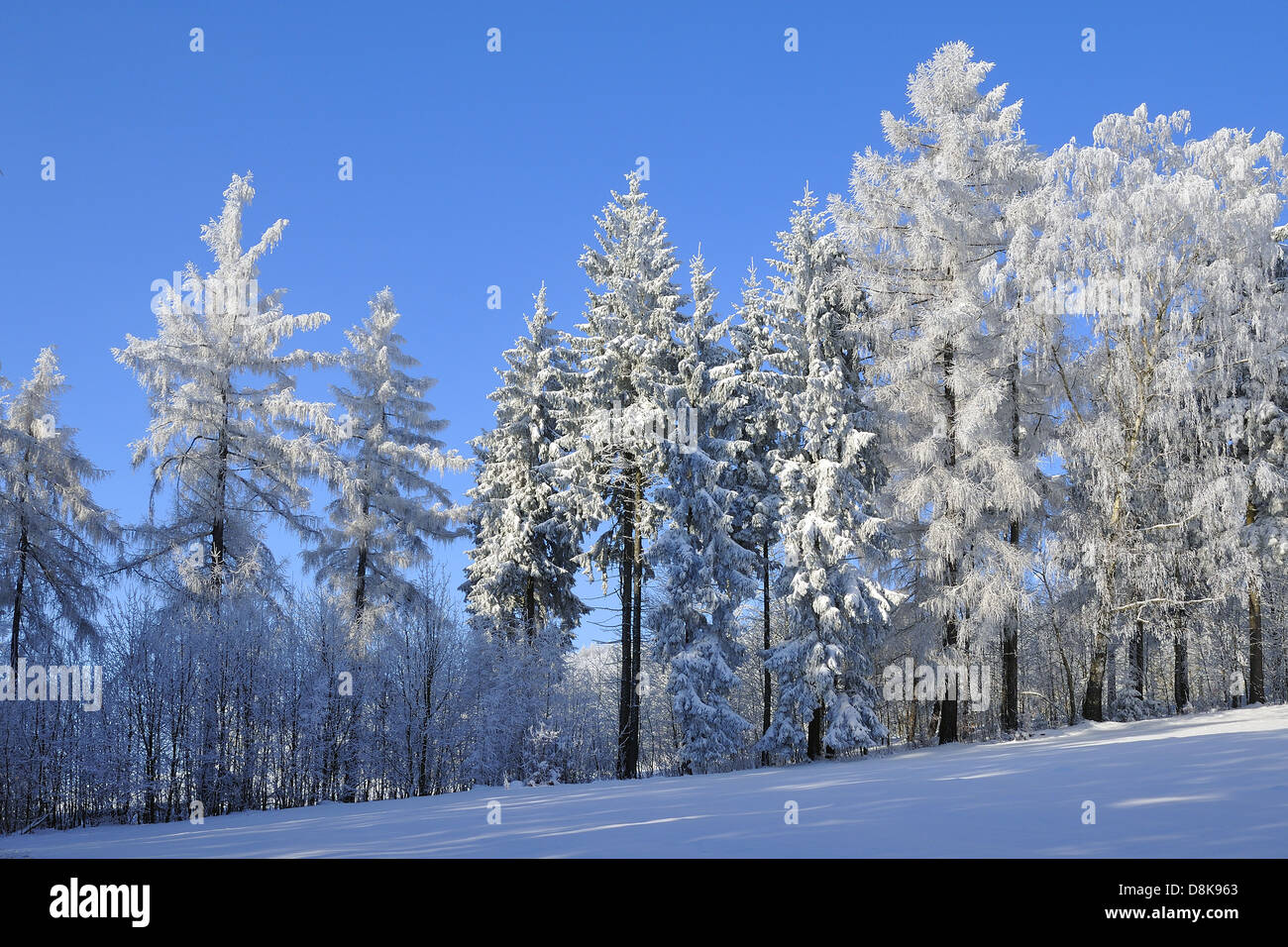 Saison winter hi-res stock photography and images - Alamy