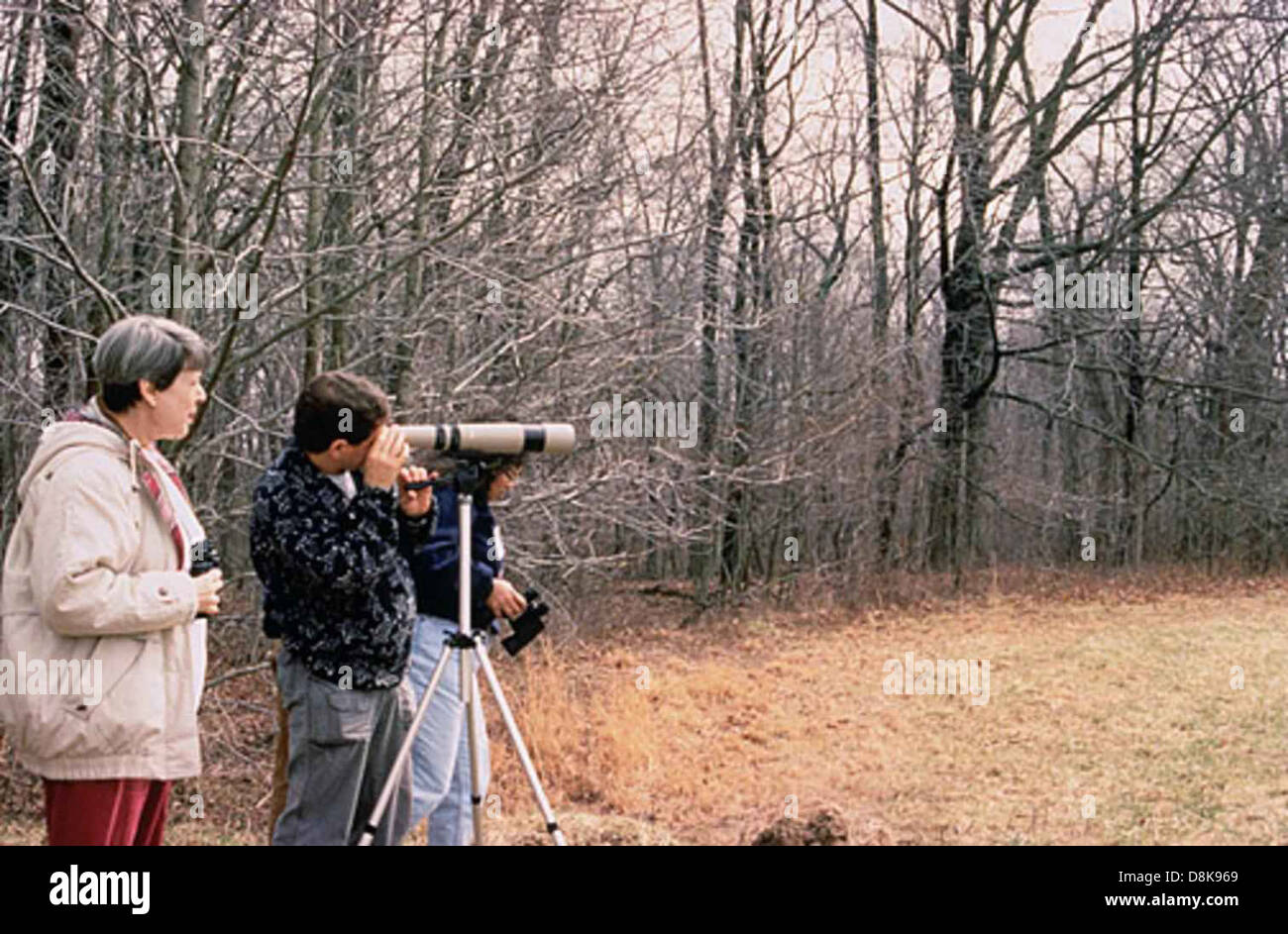 Three individuals observe wildlife using binoculars and a birding scope ...